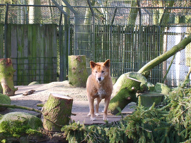 Tierpark Neumnster Preise